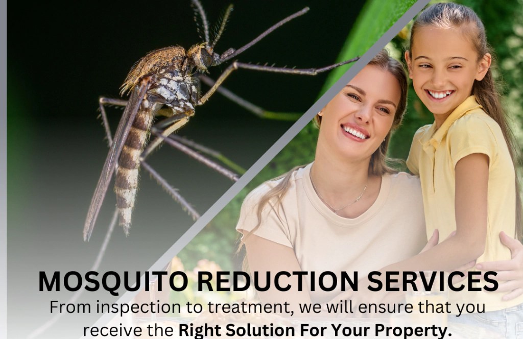 Mosquito Control Services Burlington, MA | Free Inspection & Estimates!