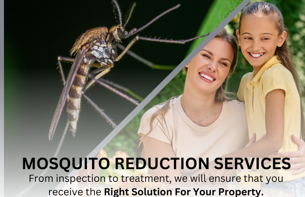 Mosquito Control Services Burlington, MA | Free Inspection & Estimates!