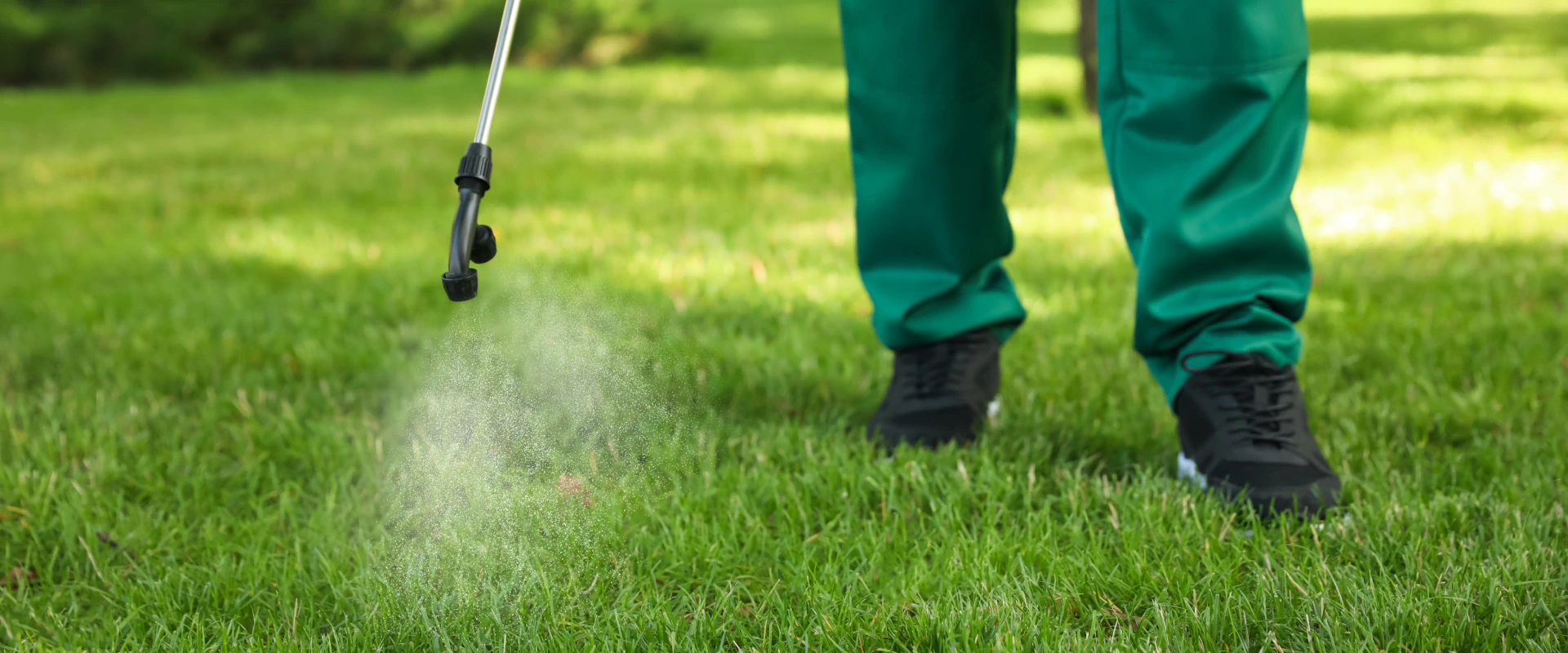 Why Regular Pest Control is Essential for Commercial Properties ...